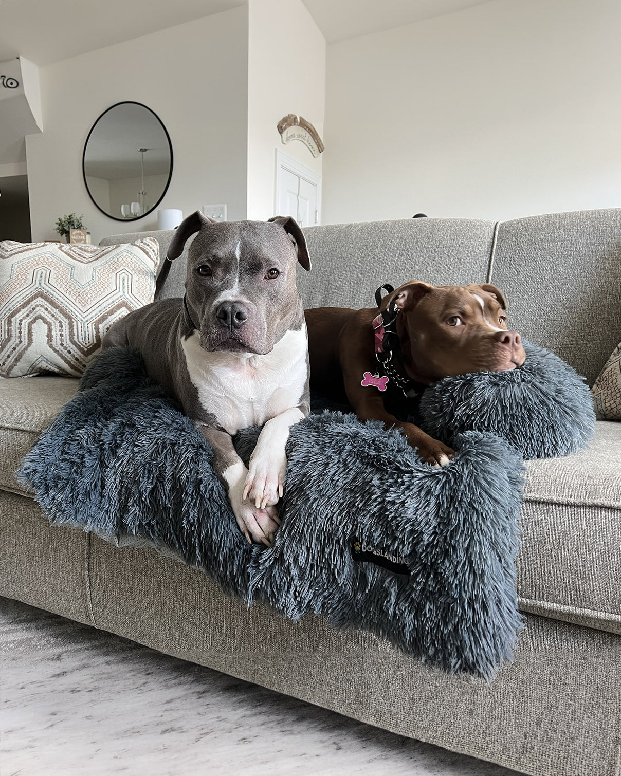 Dogslanding™ | Calming Beds & Blankets for Dogs | Dogslanding