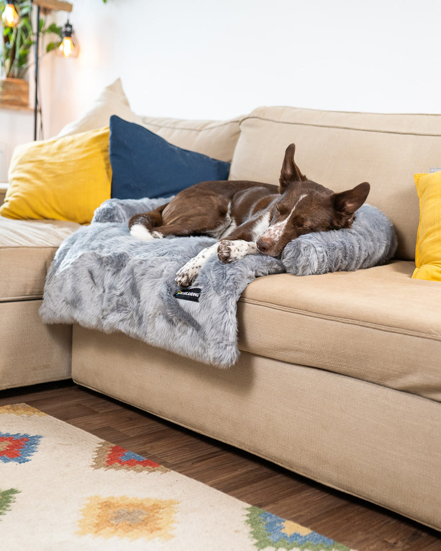 Dogslanding™ | Calming Beds & Blankets for Dogs | Dogslanding