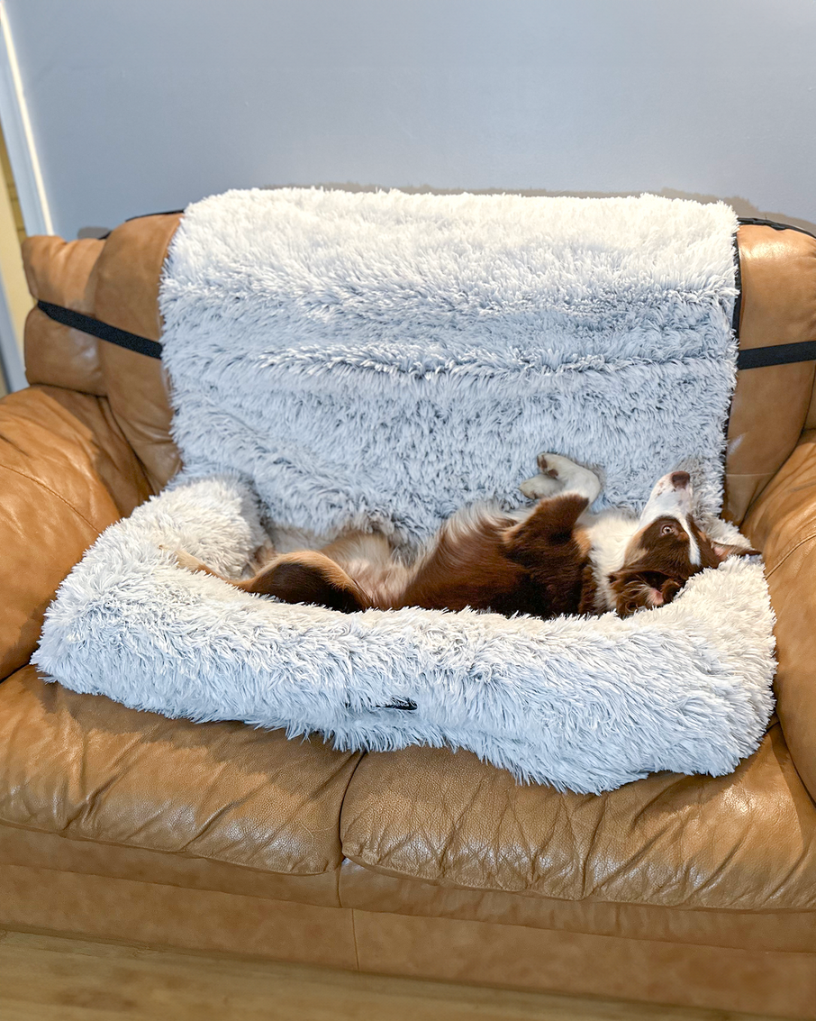 Dogslanding™ - Innovative pieces of comfort