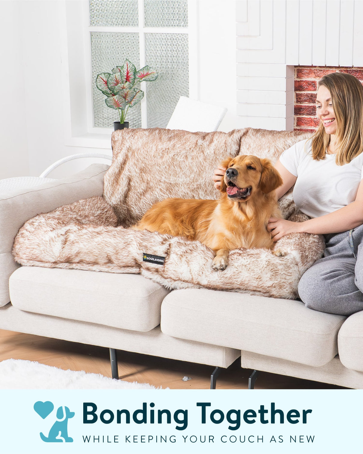 Dogslanding™ | Calming Beds & Blankets for Dogs | Dogslanding