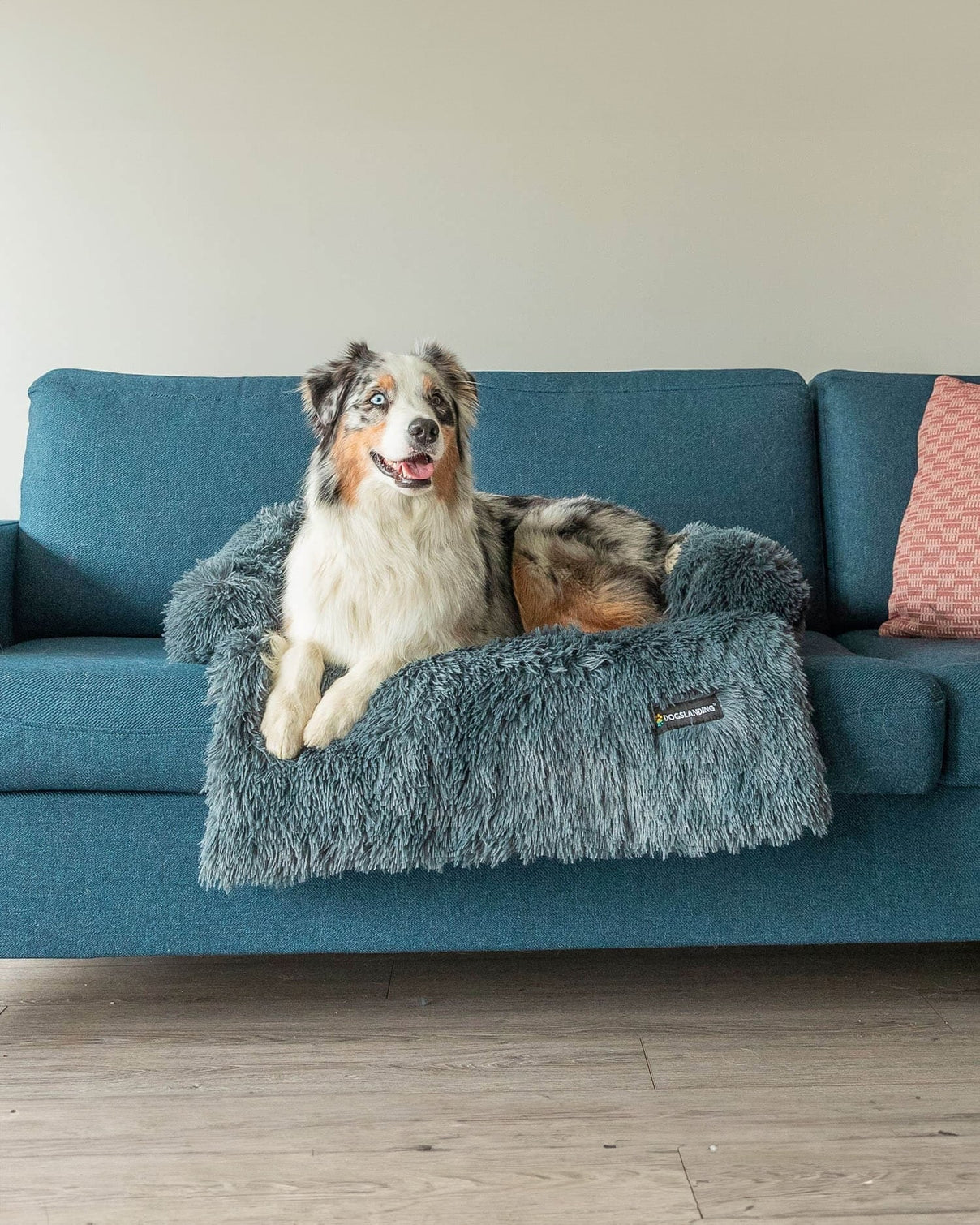 Dogslanding™ | Calming Beds & Blankets for Dogs | Dogslanding