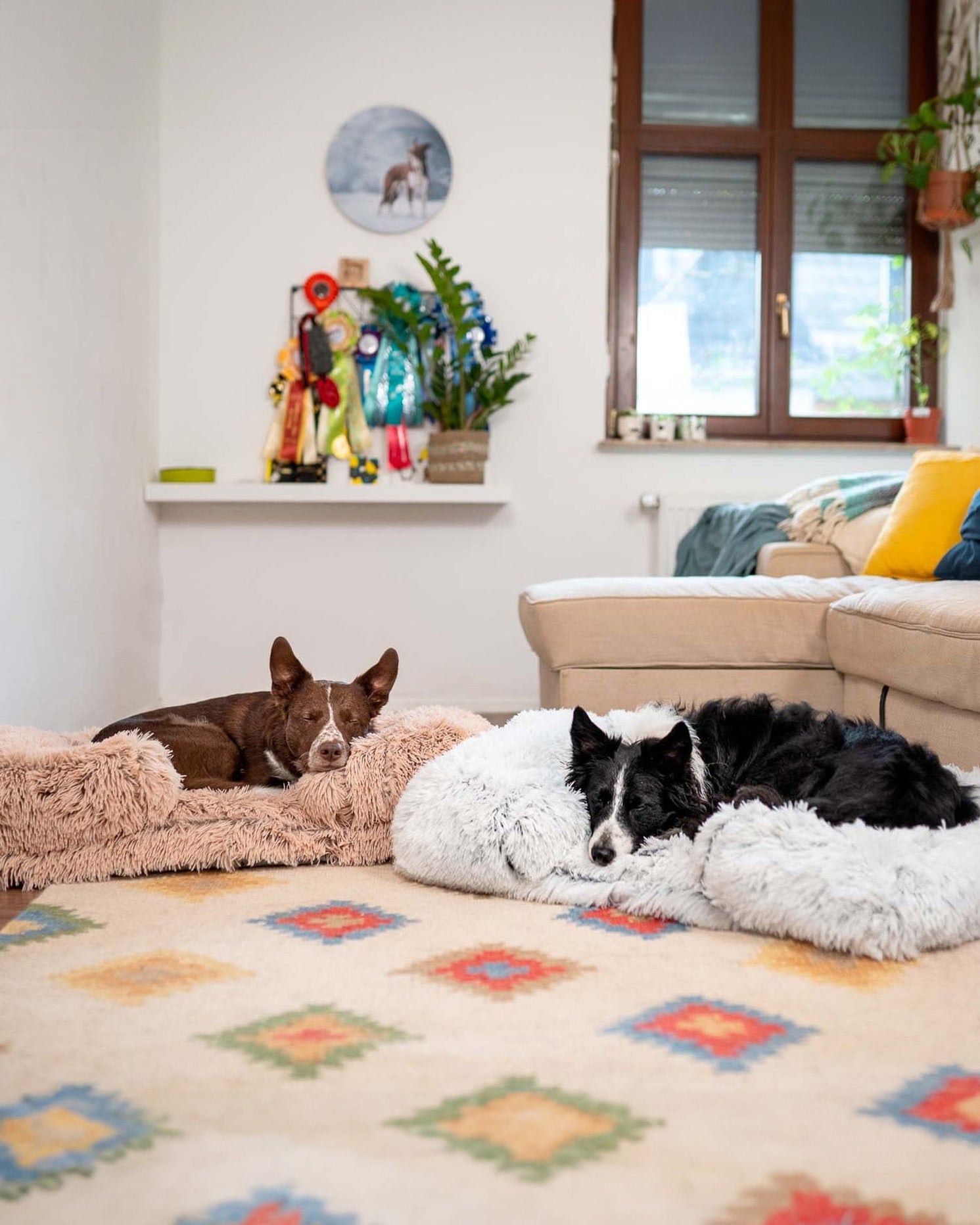 Memory Foam Dog Sofa | Washable Calming Dog Bed | Dogslanding