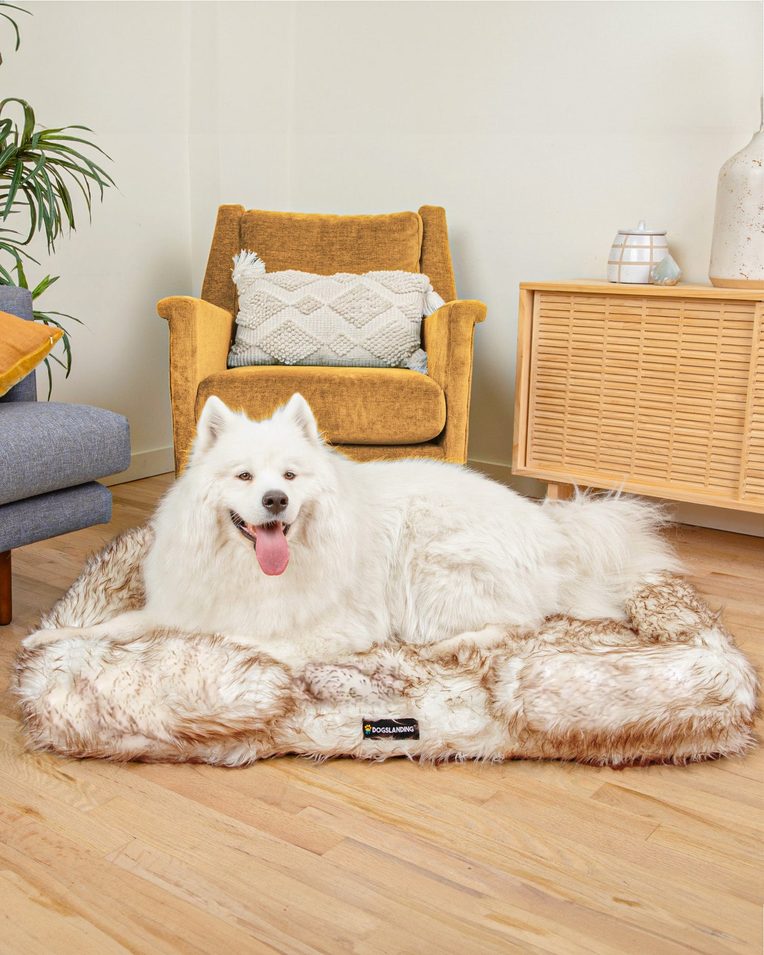 Memory Foam Dog Sofa | Washable Calming Dog Bed | Dogslanding