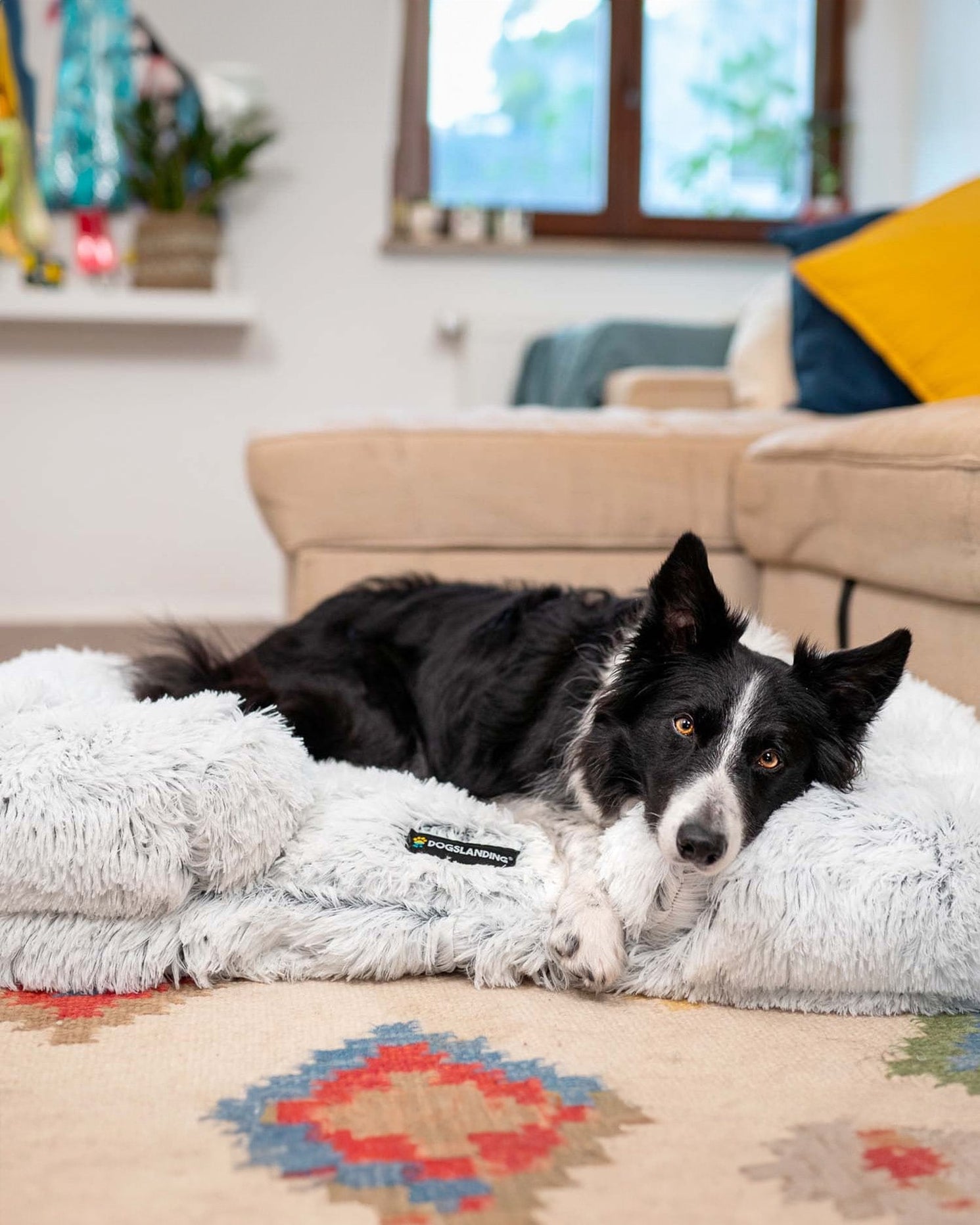Memory Foam Dog Sofa | Washable Calming Dog Bed | Dogslanding