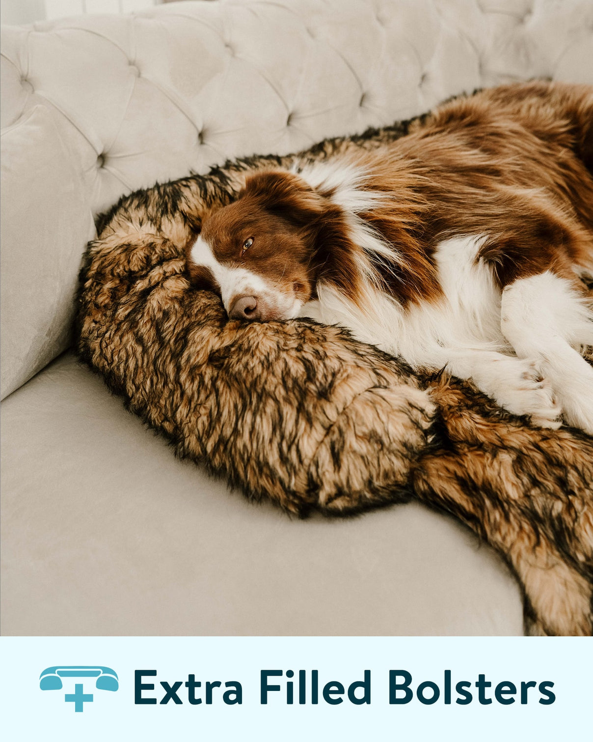 Dogslanding™ | Calming Beds & Blankets for Dogs | Dogslanding