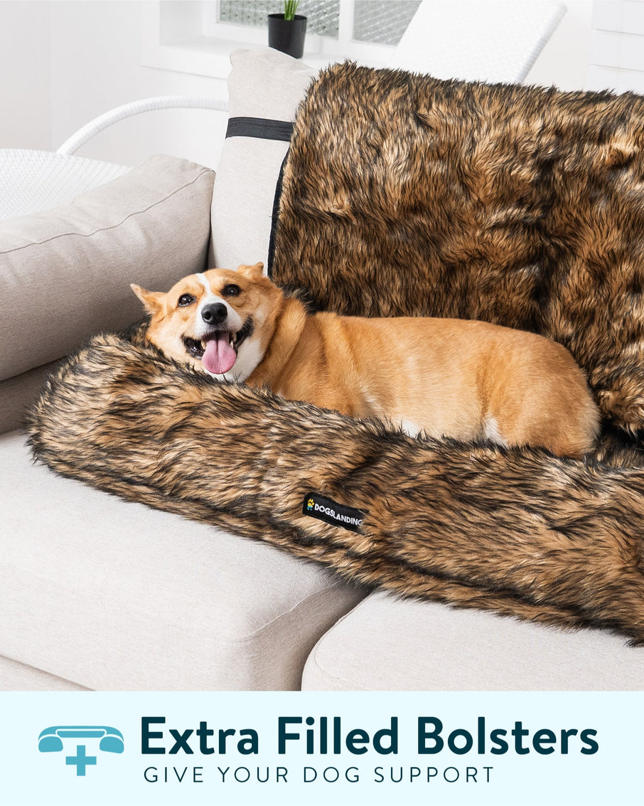 Dogslanding™ | Calming Beds & Blankets for Dogs | Dogslanding