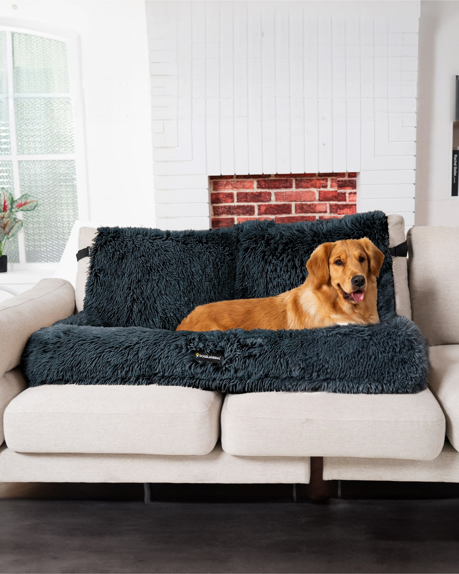Couch Cover Dog Bed | Plush Sofa Bed for Dogs | Dogslanding