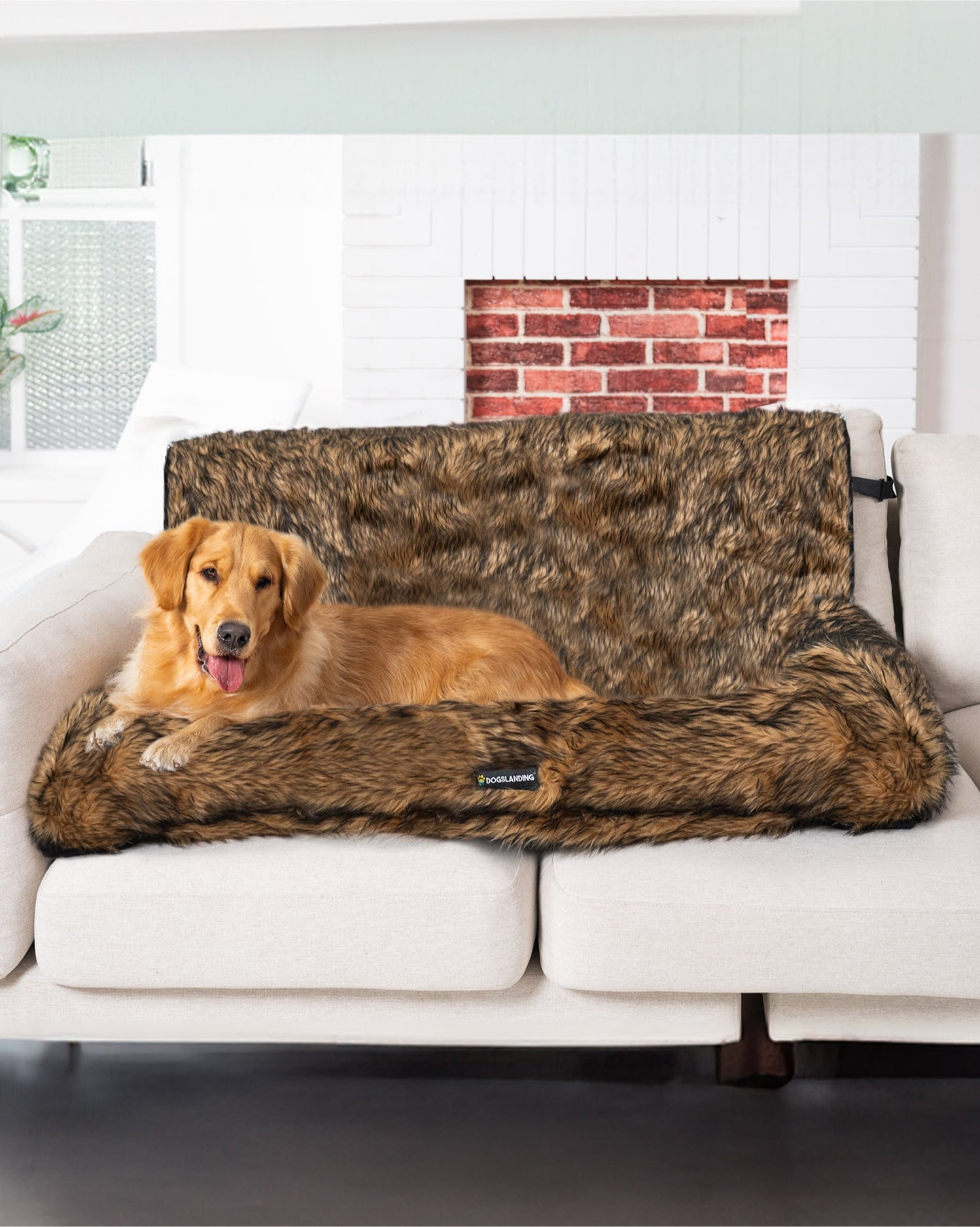 Dogs Landing Couch Protector