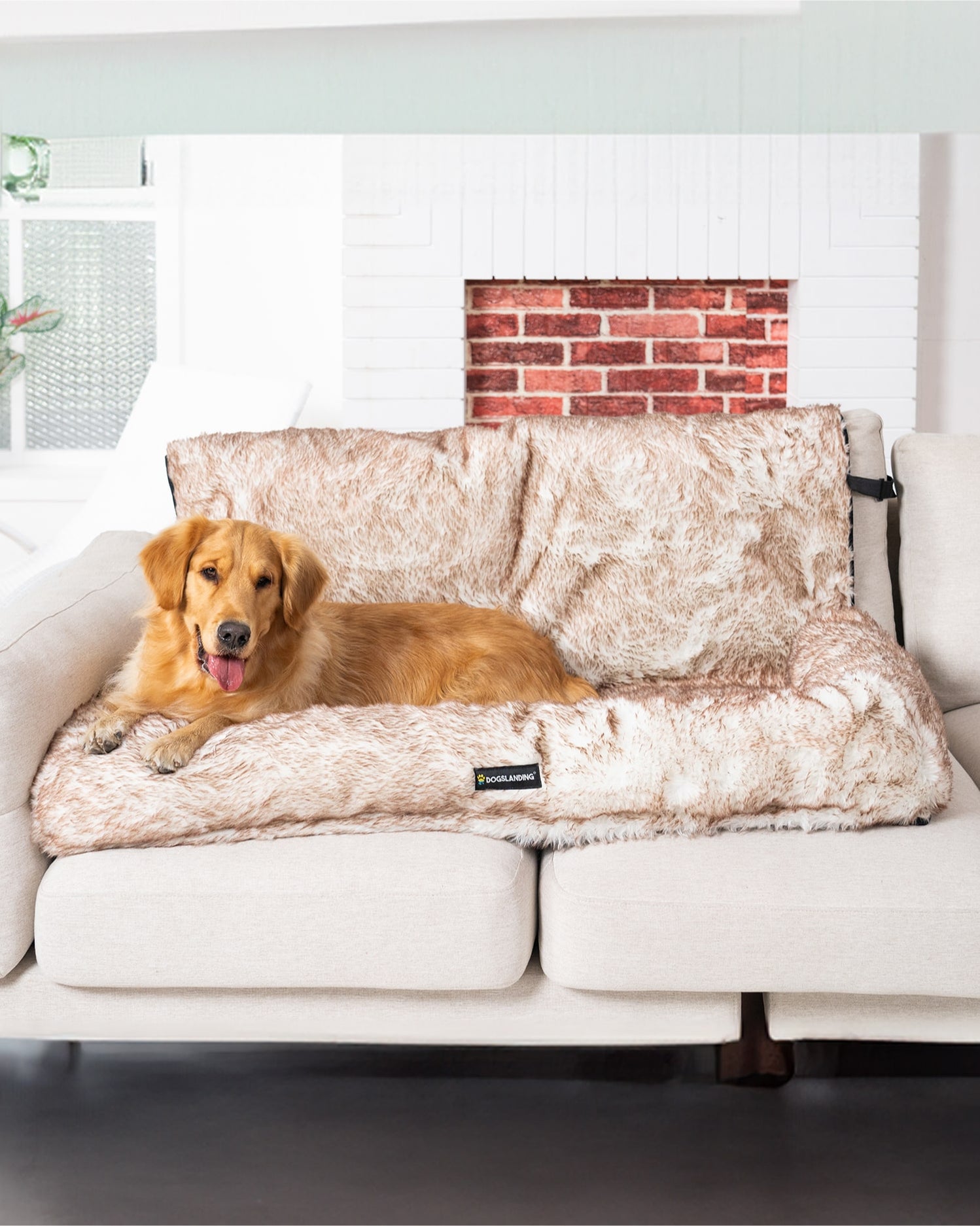 Couch Cover Dog Bed | Plush Sofa Bed for Dogs | Dogslanding