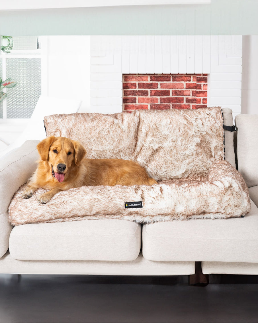 Dogslanding™ | Calming Beds & Blankets for Dogs | Dogslanding