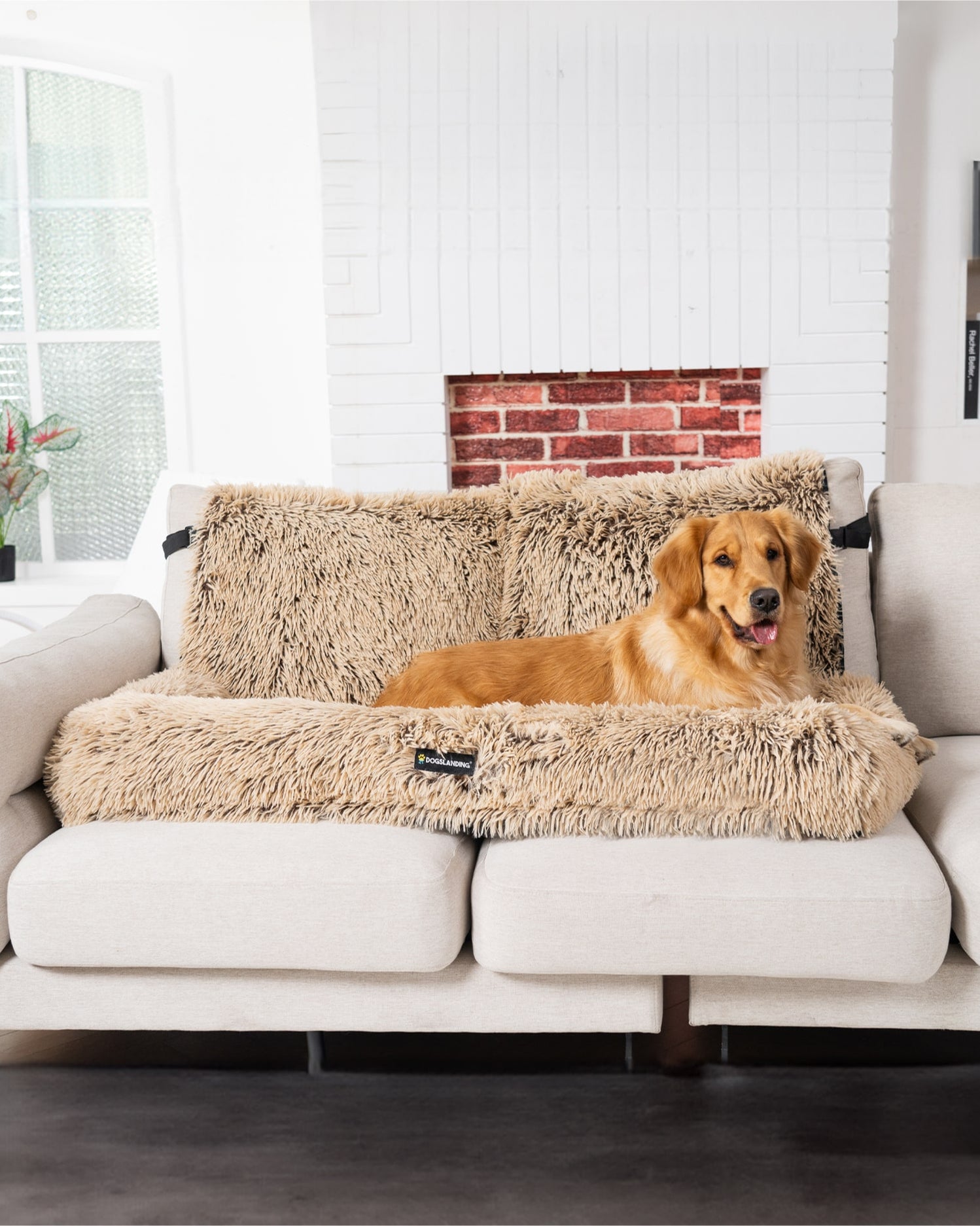 Couch Cover Dog Bed | Plush Sofa Bed for Dogs | Dogslanding