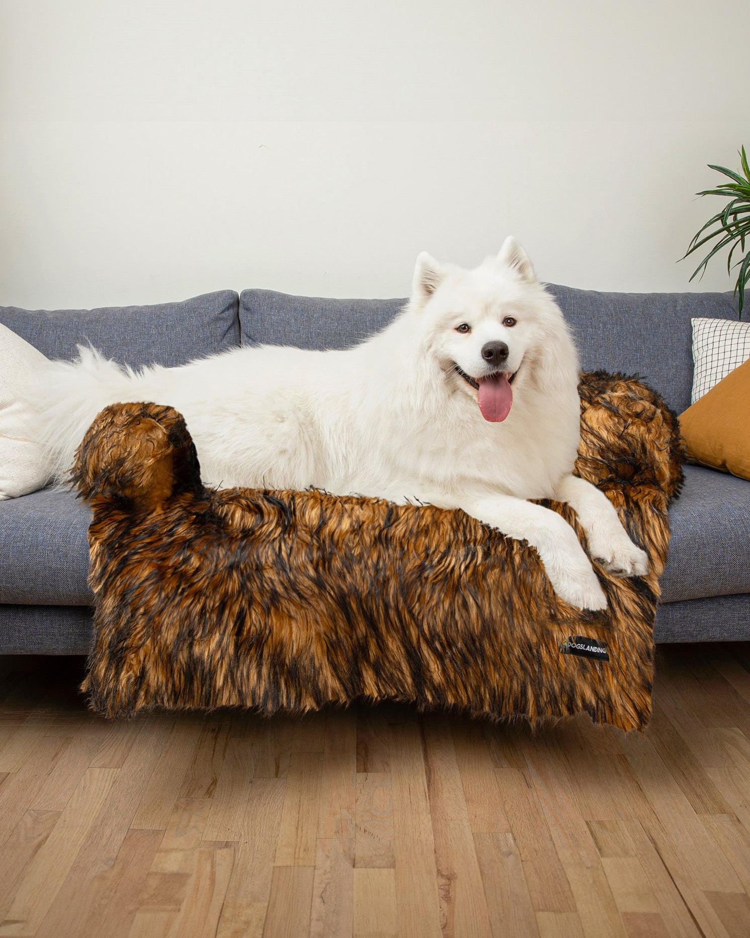 Dogs Landing Couch Protector