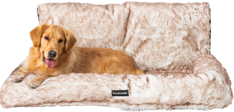 Dogslanding™ | Calming Beds & Blankets for Dogs | Dogslanding