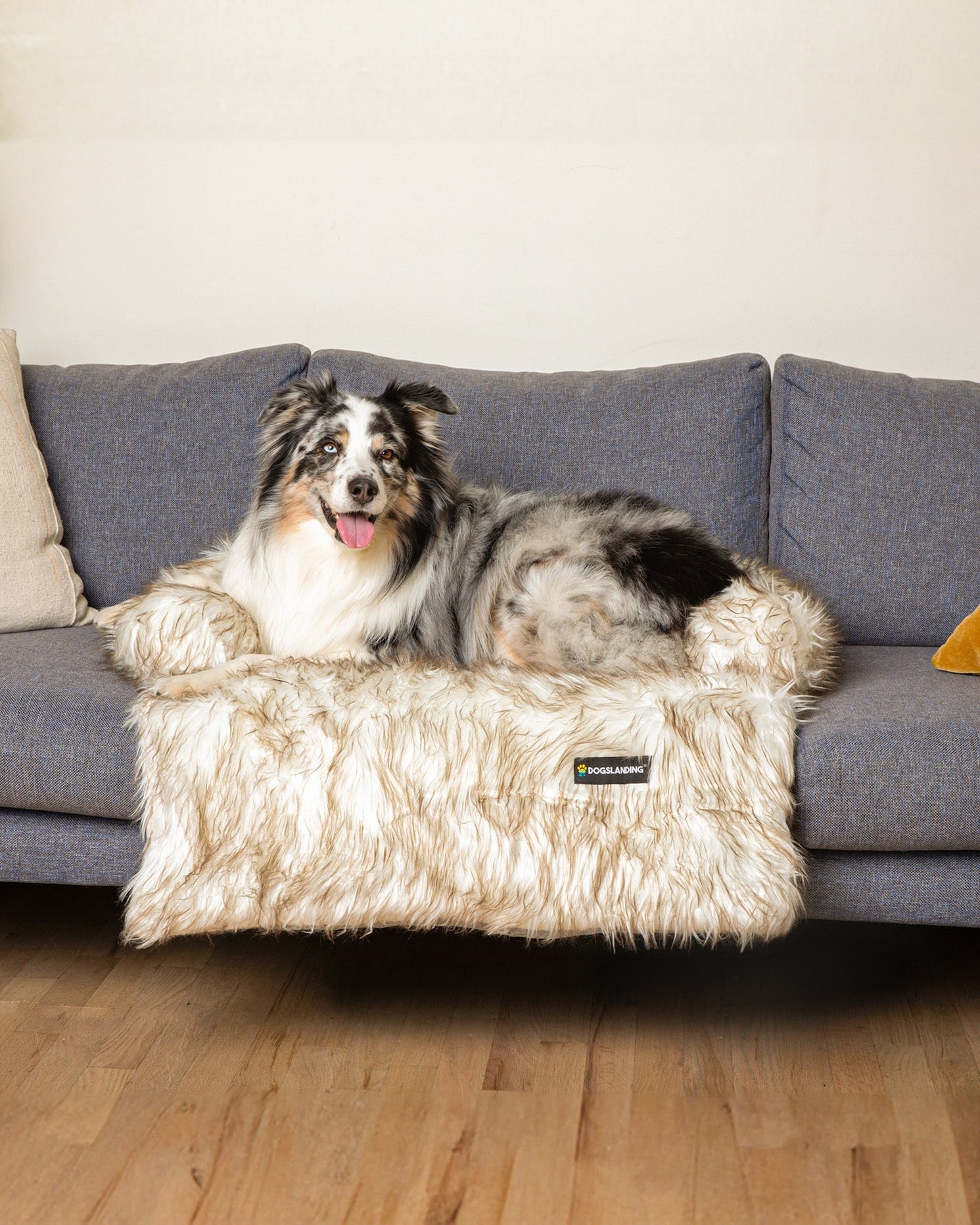 Dog Bed Couch Protector | Washable Furniture Guard for Pets | Dogslanding