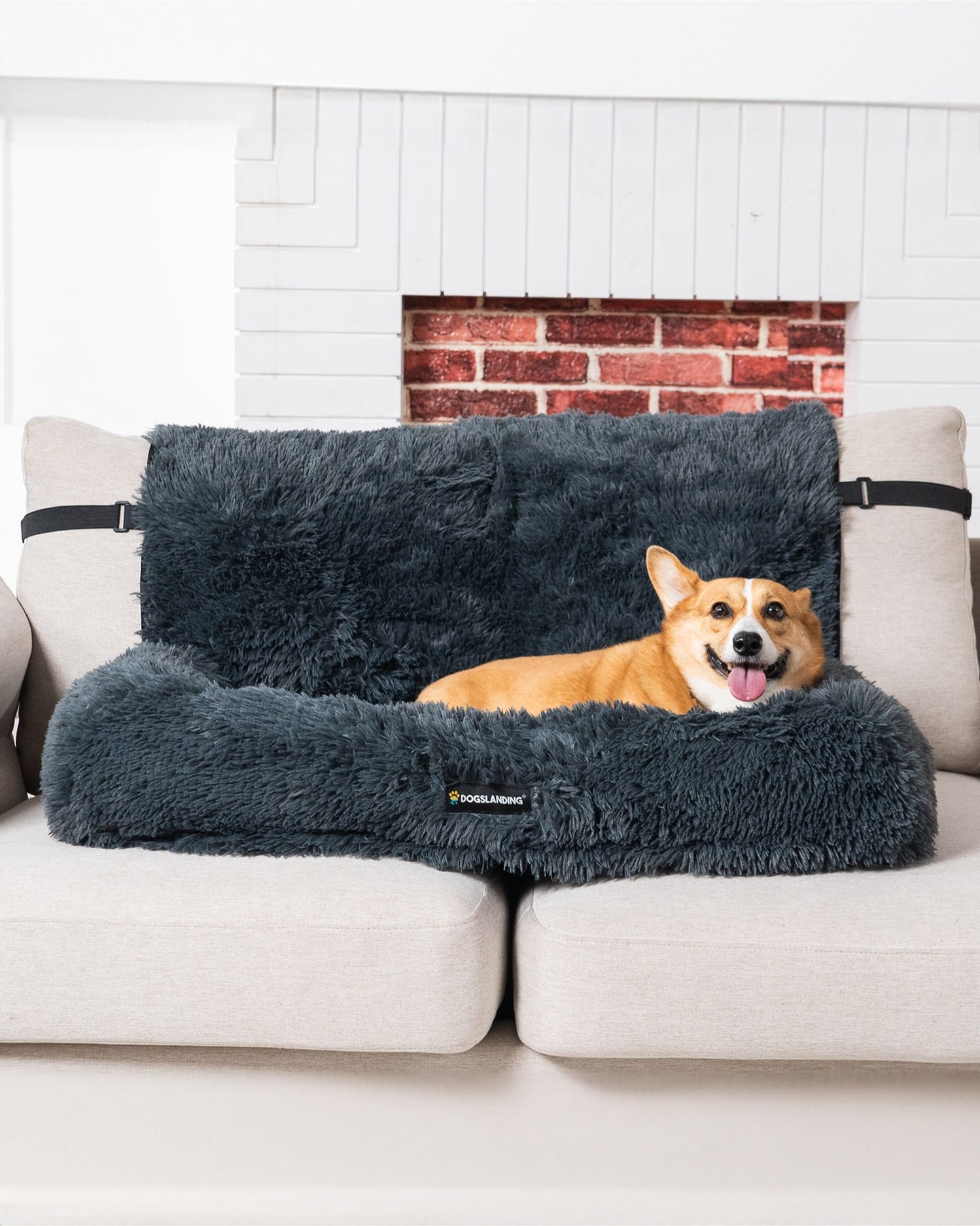 Couch Cover Dog Bed | Plush Sofa Bed for Dogs | Dogslanding