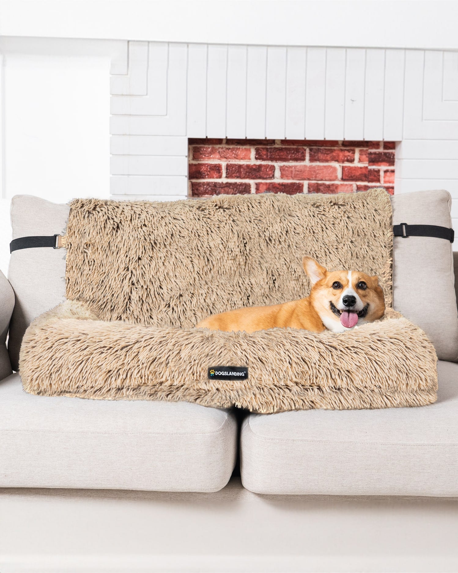 Dogs Landing Couch Protector