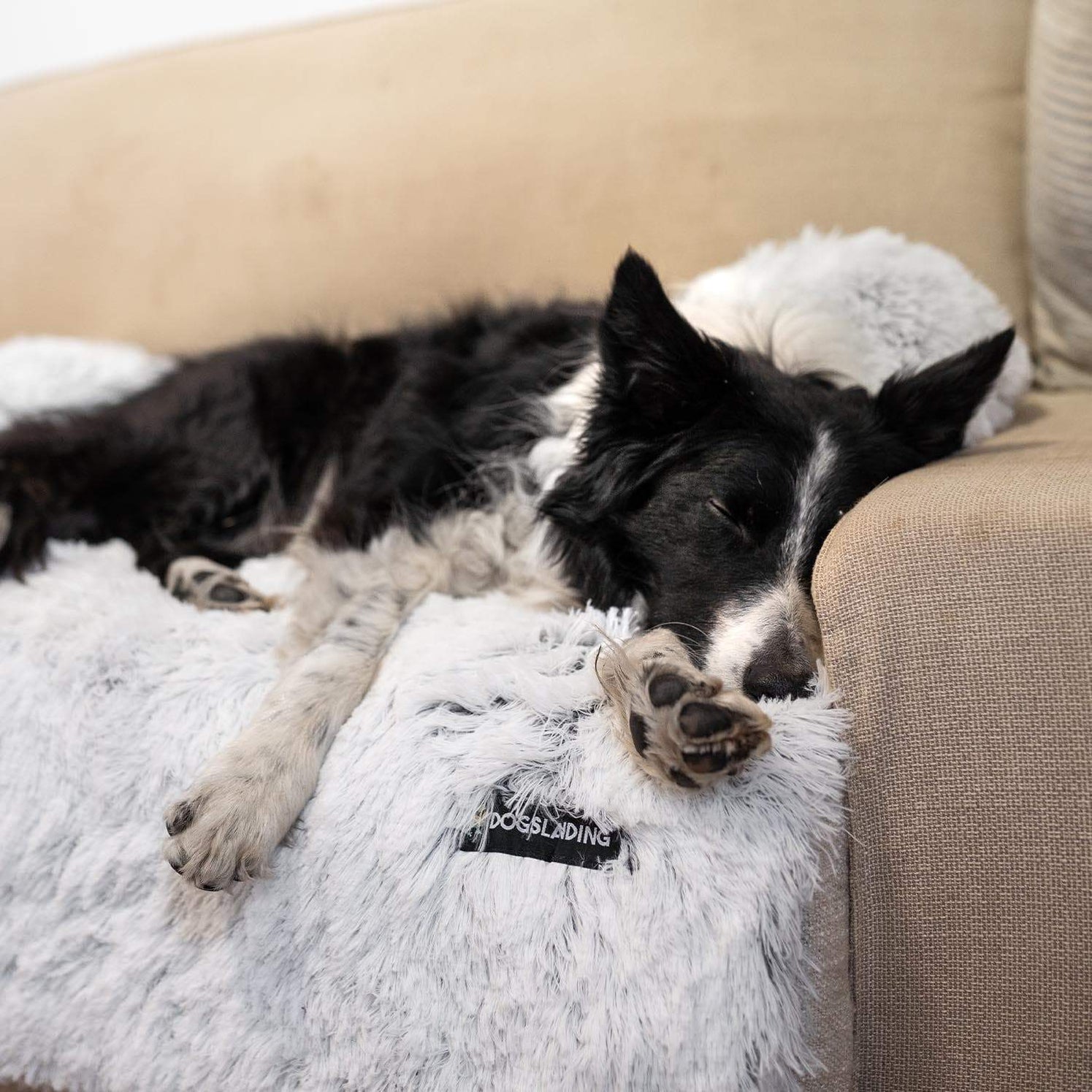 Dogslanding™ Calming Furniture Protector (Basic Edition)