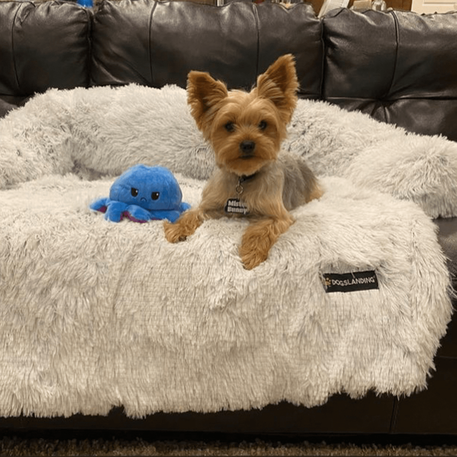 Dogslanding™ Calming Furniture Protector (Basic Edition)